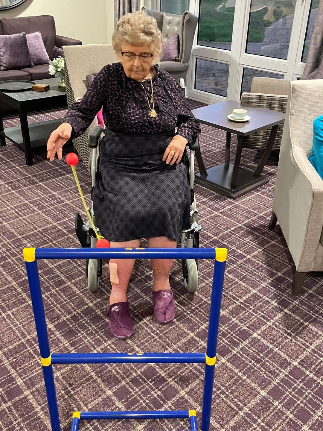 Up The Ladder Challenge - Dormy Care
