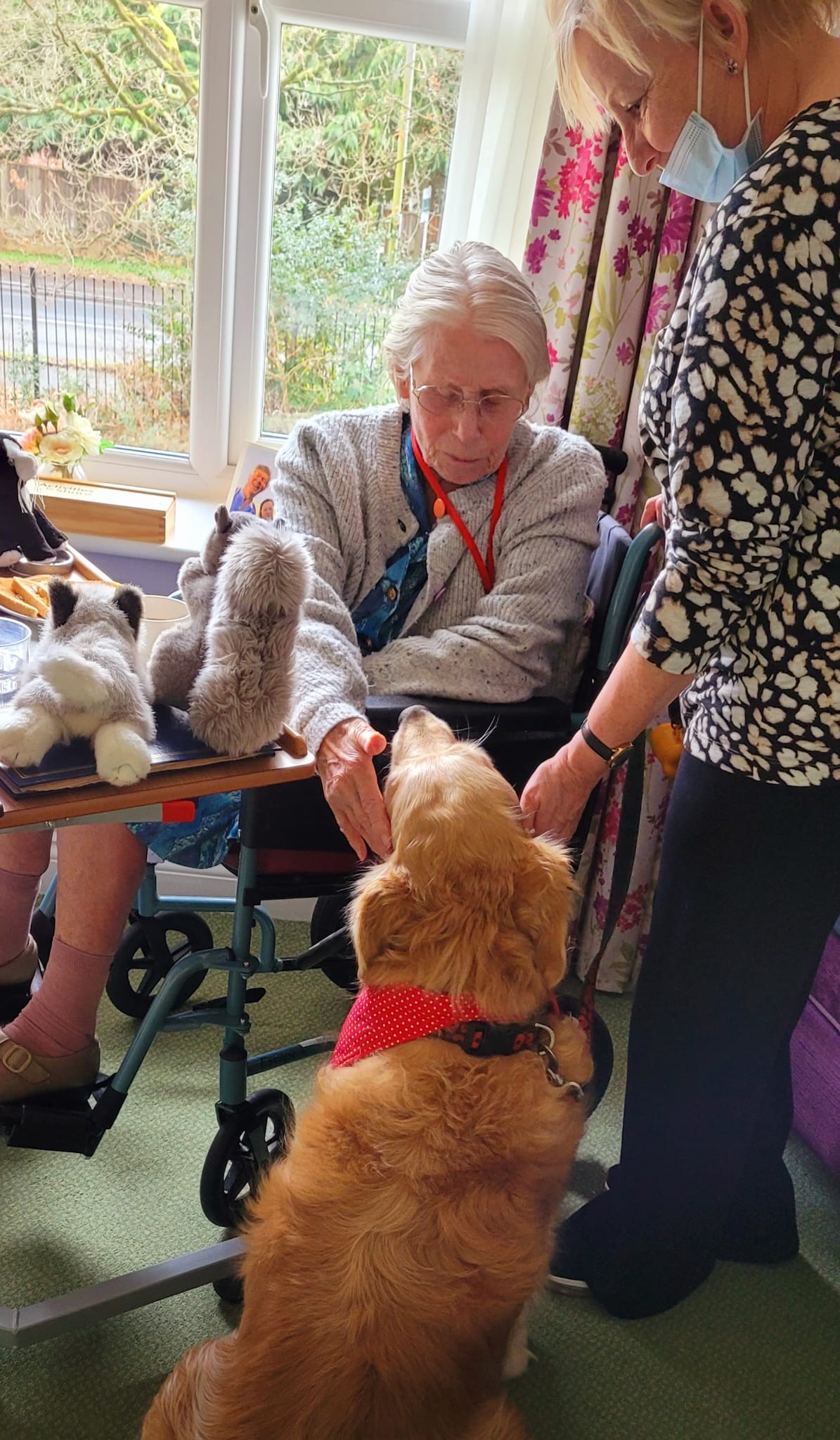Rosie the PAT dog! - Dormy Care