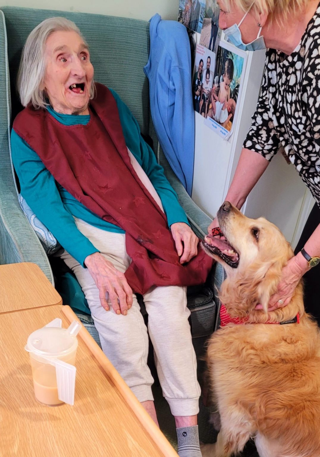 Rosie the PAT dog! - Dormy Care
