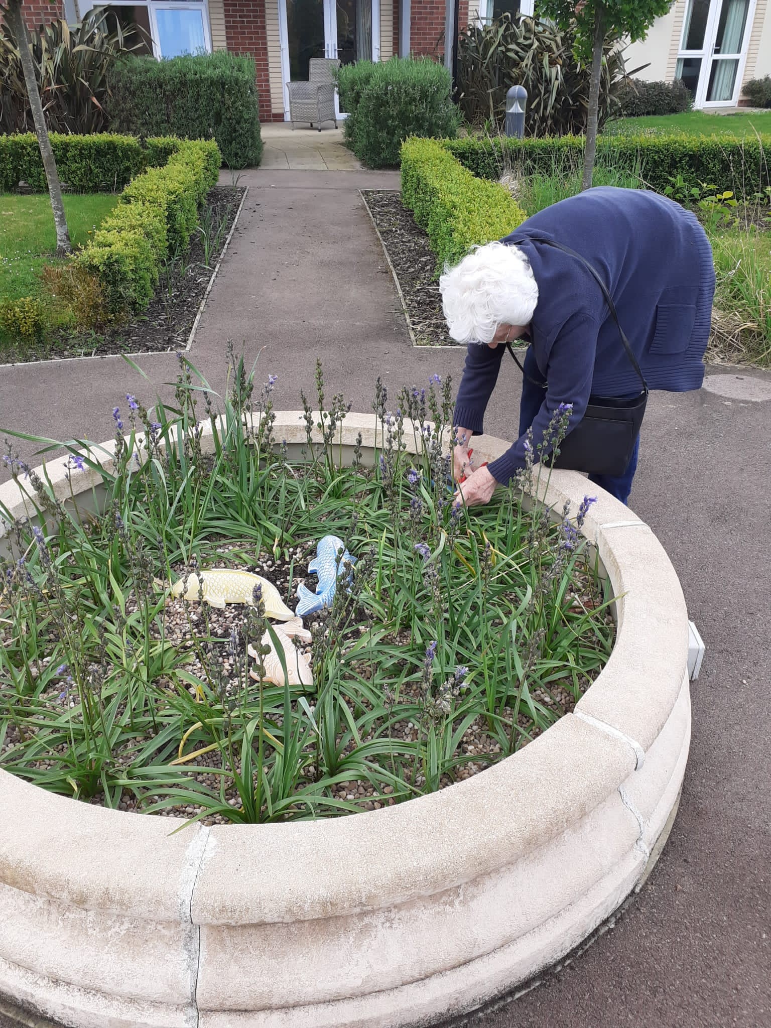 Working hard in the garden - Dormy Care